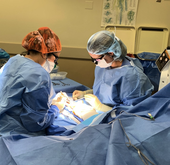 Platelet-Rich Plasma (PRP) and Biologics Injections | Jefferson Health