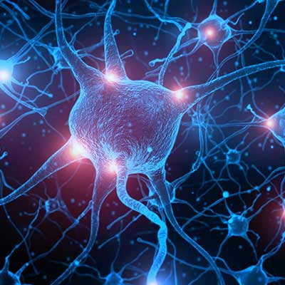 Vickie & Jack Farber Institute for Neuroscience - Research | Jefferson ...