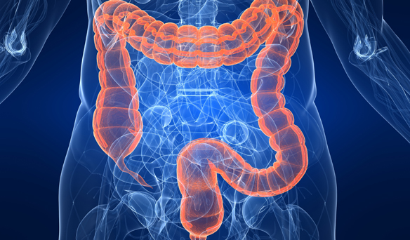 Bleeding in the Digestive Tract | Jefferson Health
