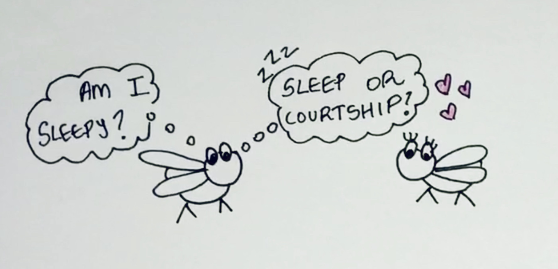 To Sleep or Not to Sleep? | Jefferson Health