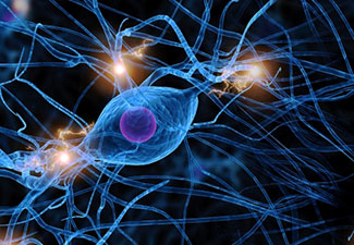 Stroke | Jefferson Health