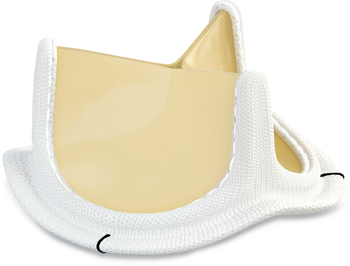 Receiving Pennsylvania's First Robotic Aortic Valve Replacement Saved ...