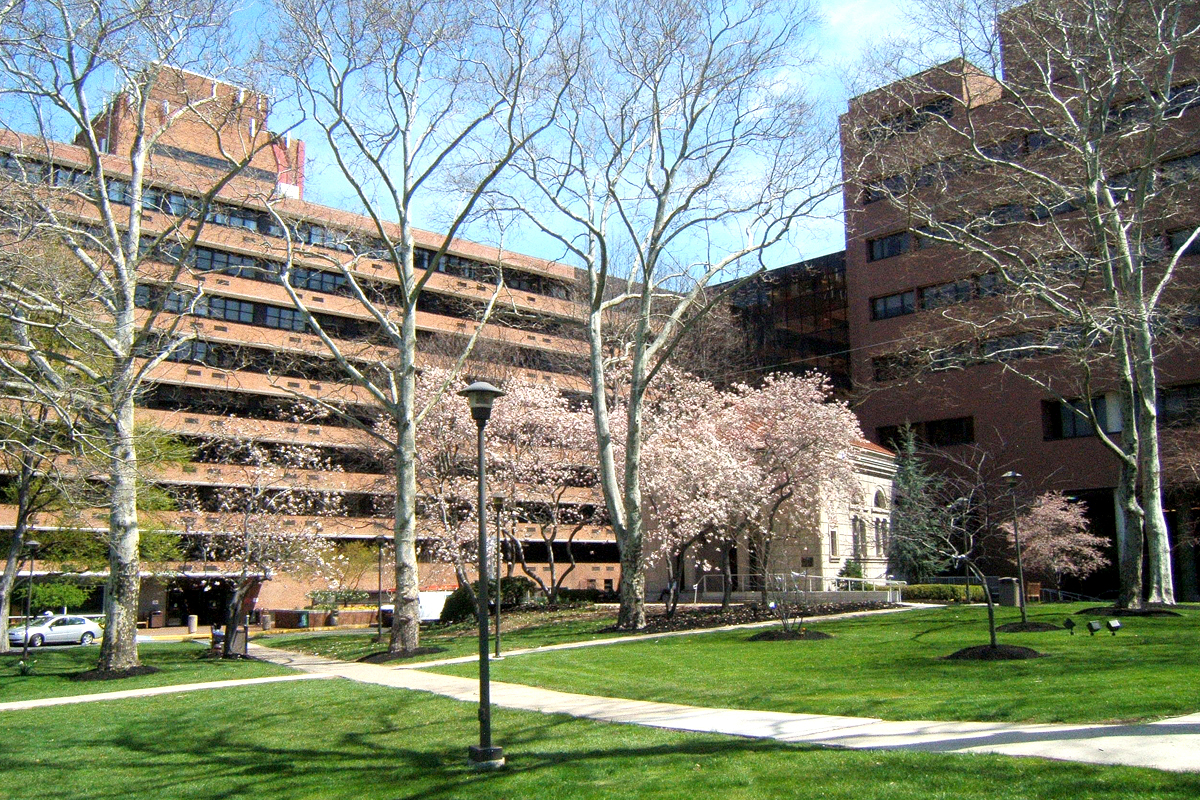 Academic Programs - General Surgery Residency Program - Einstein | Jefferson Health