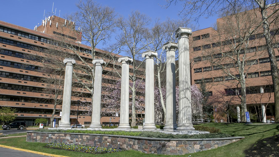 Volunteer at Einstein Healthcare Network – Jefferson Health | Jefferson ...