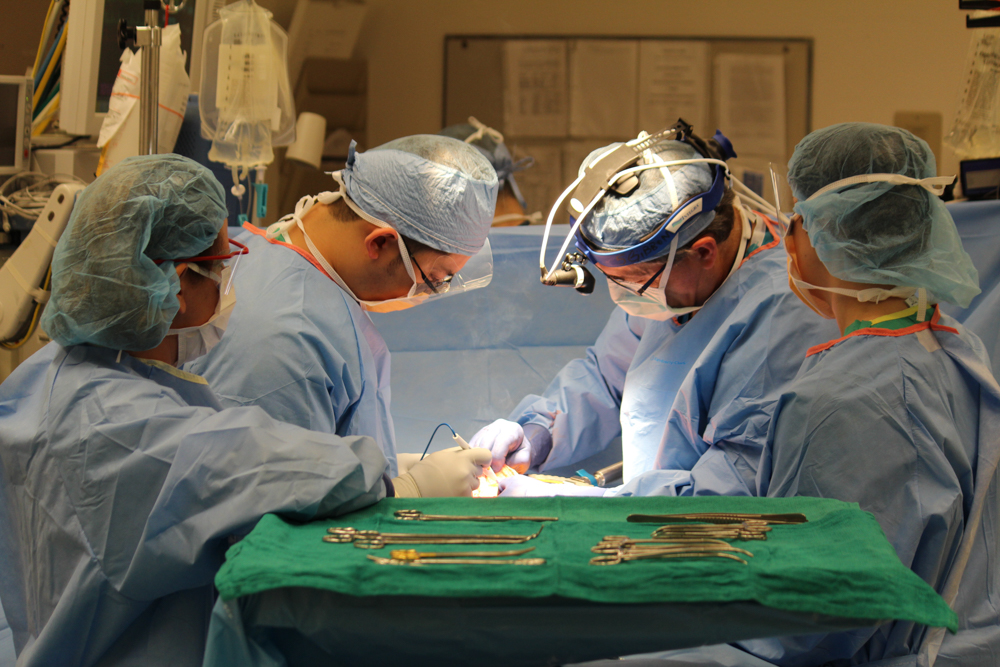 Liver Transplant | Jefferson Health
