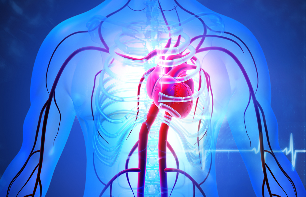 Vascular & Endovascular Surgery | Jefferson Health