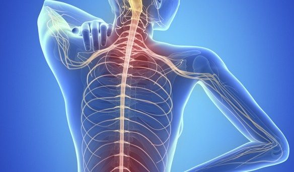 Nerve Conduction Velocity (NCV) | Jefferson Health