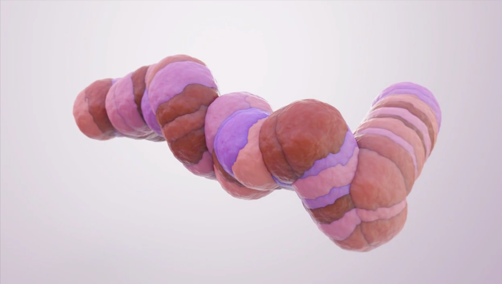 Amyloidosis | Jefferson Health