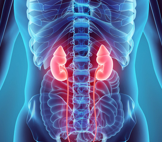 Nephrectomy | Jefferson Health